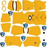 DLS Egypt Kit - Dream League Soccer Kits 2024